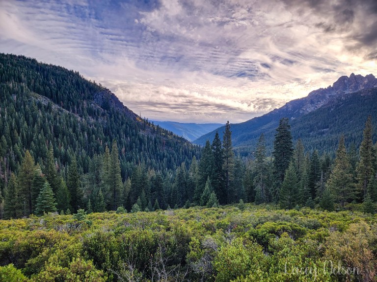 Soulfully Rich – Self-discovery and healing for a successful and thriving life