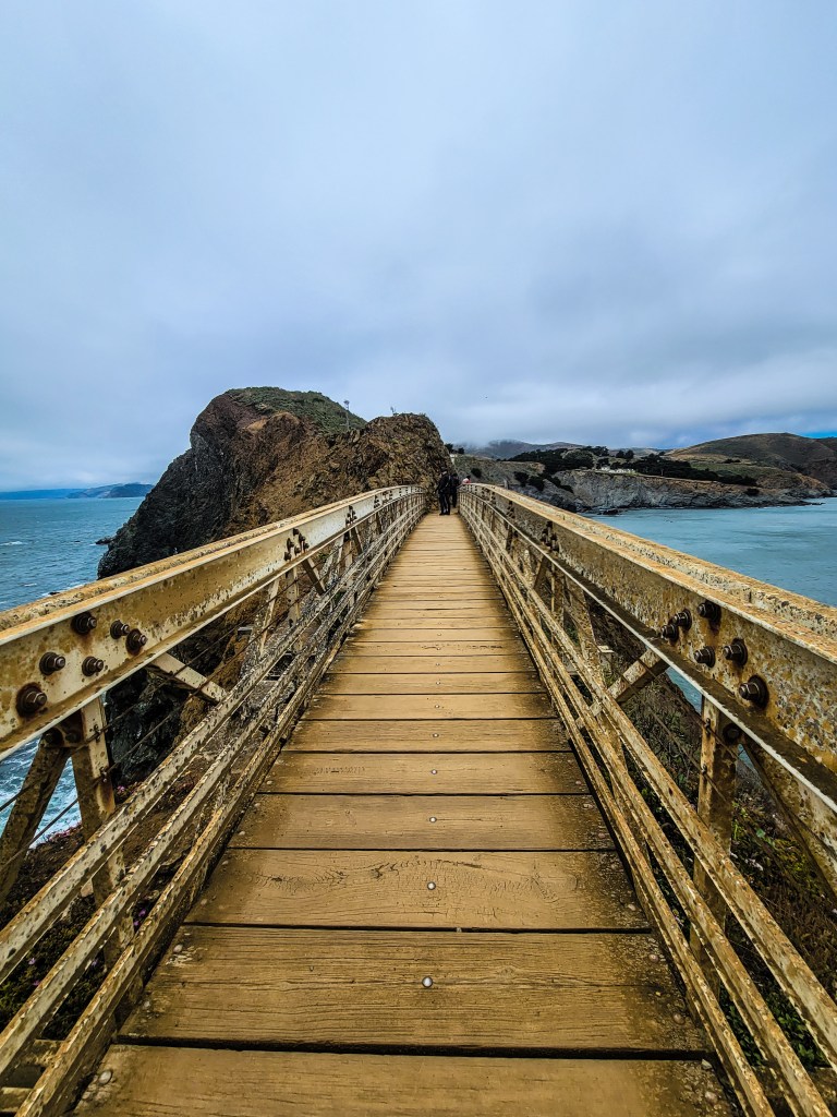 Soulfully Rich – Self-discovery and healing for a successful and ...